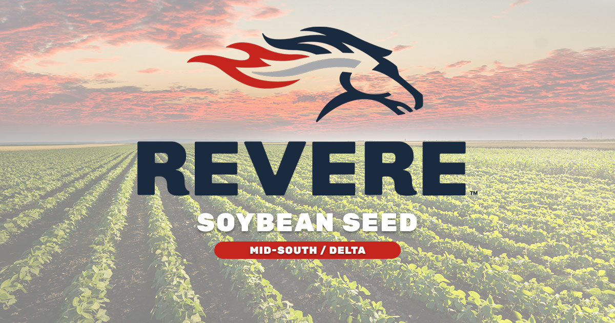 Mid-South / Delta Soybean Seed - REVERE SEED